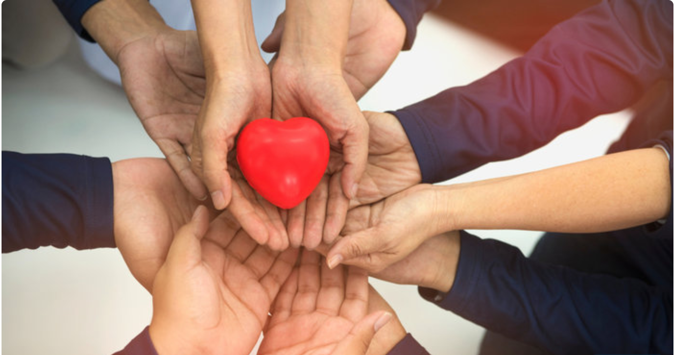 Introduction to Social Services Nonprofits